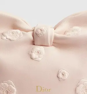 Dior Embroidered Lambskin Bag
