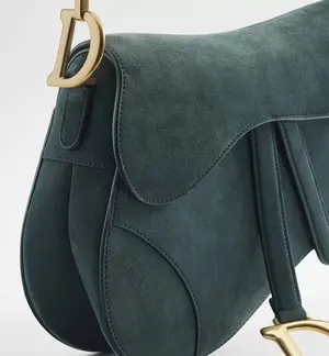 Dior Saddle Bag With Strap