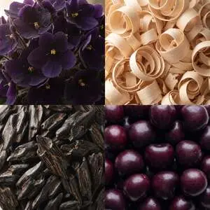 APOTHEKE Bitter Cherry Classic Candle