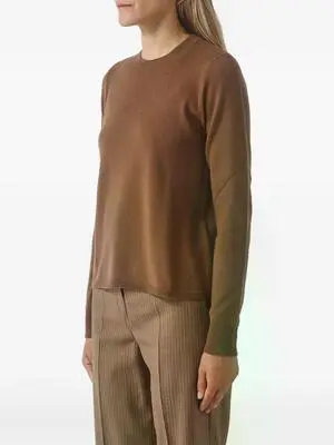 Max Mara Crew Neck Long Sleeve Sweater