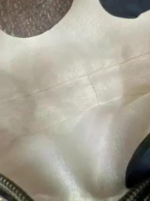 Gucci 20th Century Gg Supreme Web Crossbody Bag