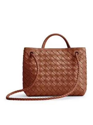 Bottega Veneta Andiamo Small Bag