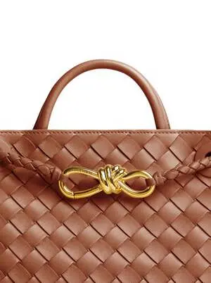 Bottega Veneta Andiamo Small Bag