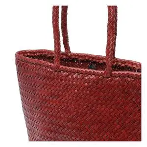 Dragon Diffusion Small Grace Bucket Bag - Red