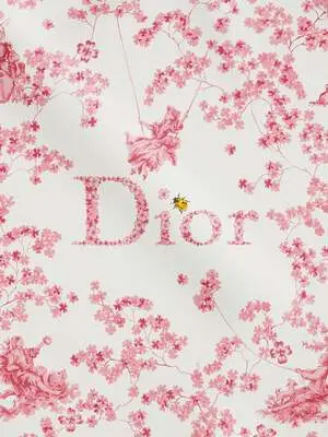 Dior Silk Scarf With Toile De Jouy Clover 90 Pattern - Multicolor