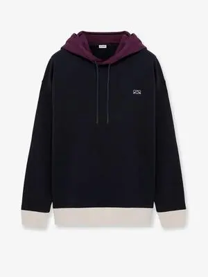 Loewe Loewe Men Cotton Hoodie Multicolor