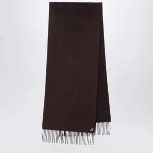 Prada Scarf In Silk And Cashmere - Brown