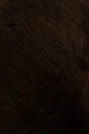 Baum Und Pferdgarten Lovina" Faux Fur Collar