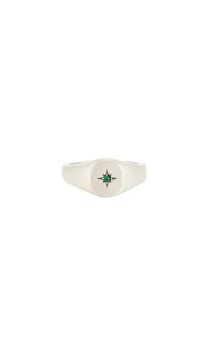 SERGE DENIMES Envy Signet Ring In Metallic - Silver