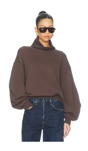 AGOLDE Jenning Sweatshirt In Brown