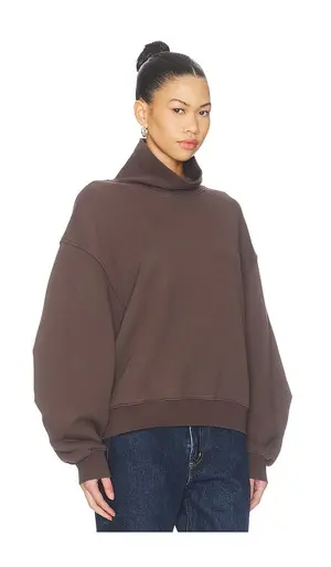 AGOLDE Jenning Sweatshirt In Brown