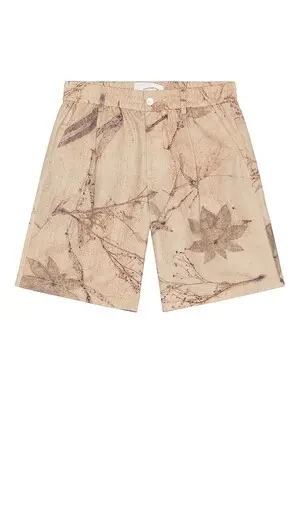 FENG CHEN WANG Printed Plant Dye Shorts