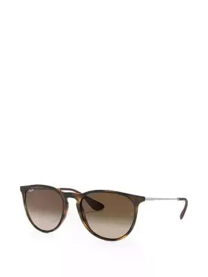 Ray-ban Erika Round-frame Sunglasses