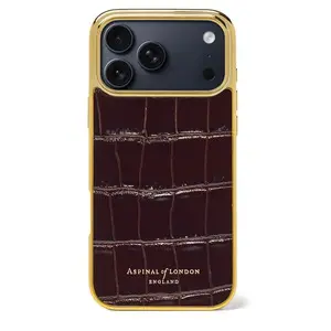 ASPINAL OF LONDON Iphone 18 Pro Max Case In Pebble - Brown