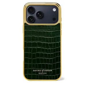 ASPINAL OF LONDON Iphone 18 Pro Max Case In Pebble - Green