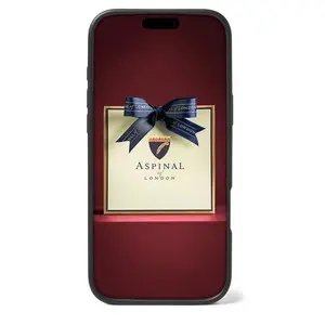 ASPINAL OF LONDON Iphone 18 Pro Max Case In Pebble - Navy