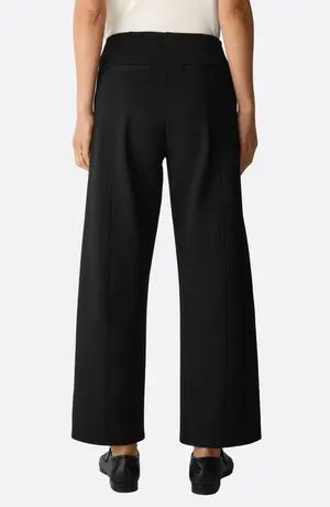 Eileen Fisher Wide Leg Ankle Pants