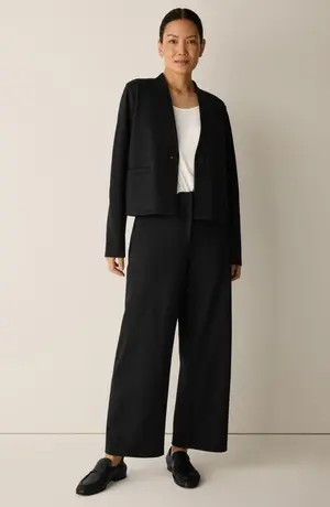 Eileen Fisher Wide Leg Ankle Pants