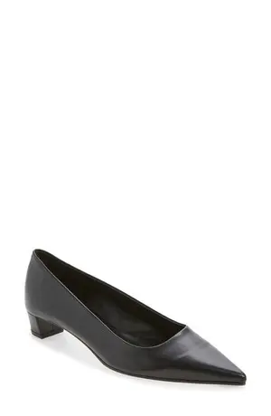 AeydĒ Judi Pointed Toe Pump - Black