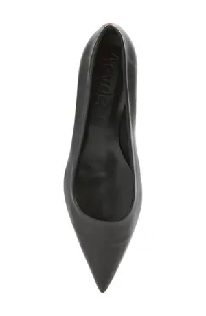 AeydĒ Judi Pointed Toe Pump