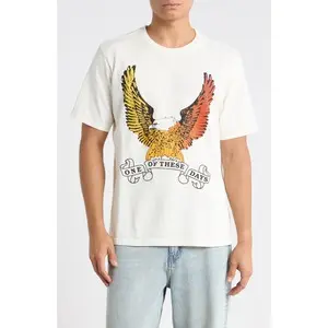 ONE OF THESE DAYS An American Original Graphic T-shirt