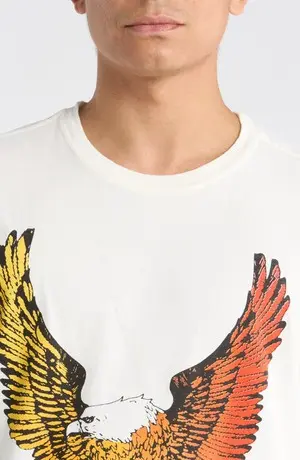 ONE OF THESE DAYS An American Original Graphic T-shirt