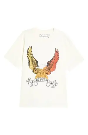ONE OF THESE DAYS An American Original Graphic T-shirt
