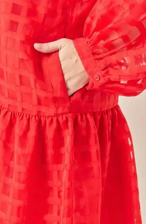 English Factory Check Organza Minidress