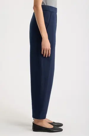 Eileen Fisher Organic Cotton Ankle Arch Pants - Ink
