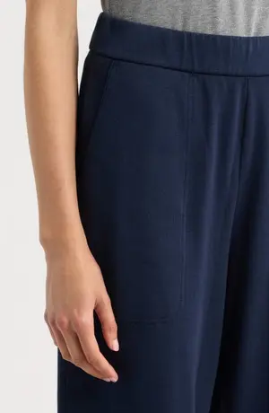 Eileen Fisher Organic Cotton Ankle Arch Pants - Ink