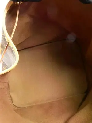 LOUIS VUITTON Petit Noé Monogram Bucket Bag