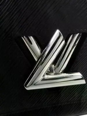 LOUIS VUITTON Twist Shoulder Bag