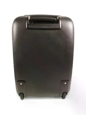 LOUIS VUITTON Pegase Legere 55 Taiga Suitcase