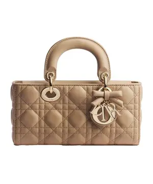Dior Sac Lady D-joy Small