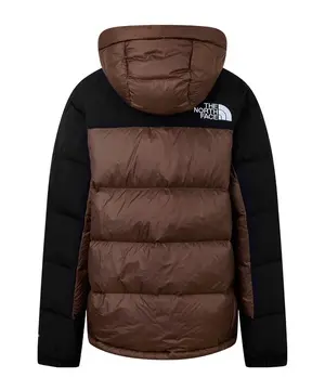 The North Face Colorblock Hooded Down Jacket