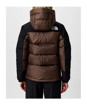 The North Face Colorblock Hooded Down Jacket