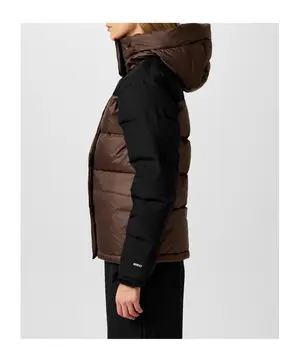 The North Face Colorblock Hooded Down Jacket