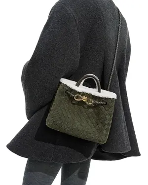 Bottega Veneta Andiamo Intrecciato Shearling Trim Bag