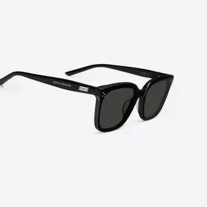 GENTLE MONSTER Gent 01 Sunglasses