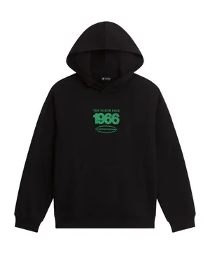 The North Face Relaxed Graphic Hoodie