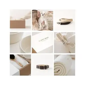 OLIVER'S LIFE & STYLE Neutrals/ Puppy Box Package For Puppies