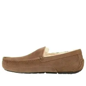 UGG Ascot 'chestnut - Tan