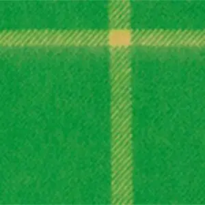 Burberry Cashmere Check Scarf - Green