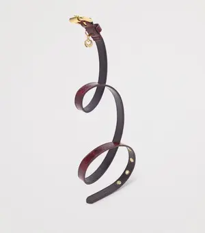 Maje Leather Eyelet Slim Belt