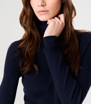 Maje Wool-silk Rollneck Sweater