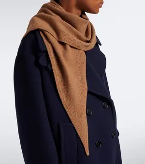 Chloé Embroidered Wool Scarf - Brown