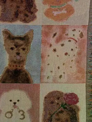 CARNE BOLLENTE Graphic-print Fringed Blanket