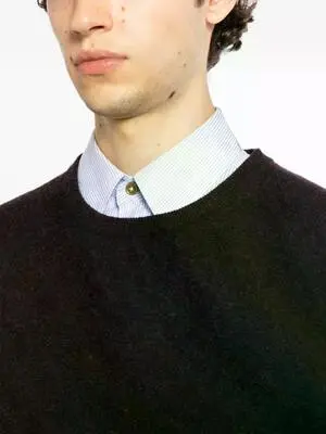 N.peal Oxford Sweater