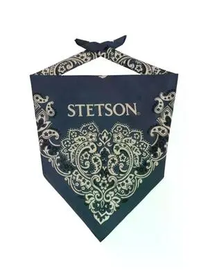 Stetson Paisley-print Logo-print Scarf - Blue