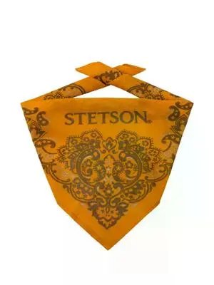 Stetson Logo-print Paisley-pattern Scarf - Orange